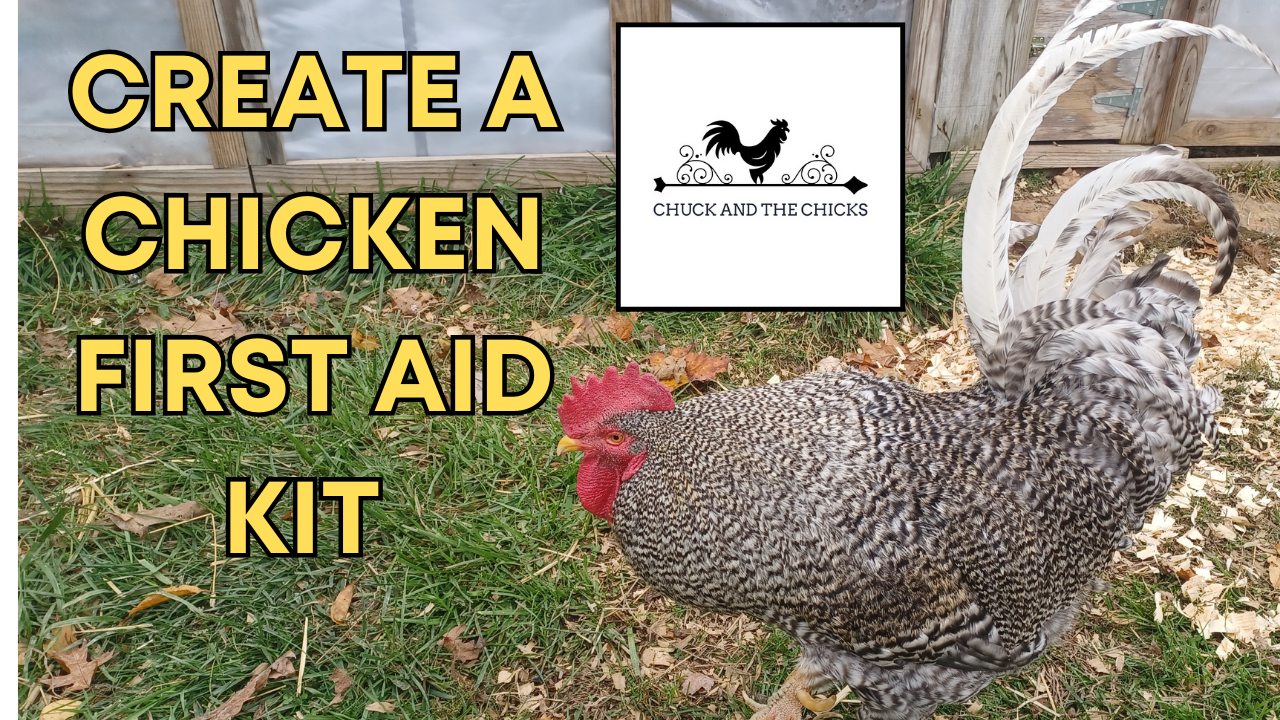 Create A Chicken First Aid Kit – Chuck and the Chicks