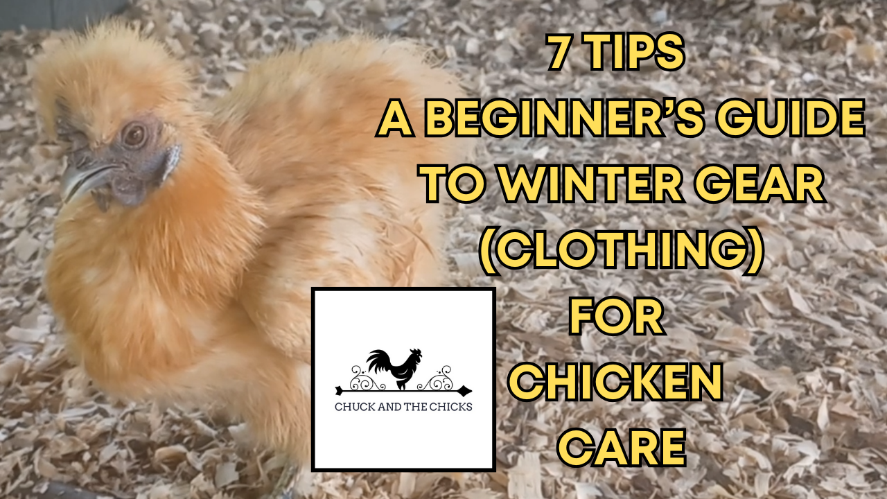 7 Tips A Beginner’s Guide To Winter Gear (Clothing) For Chicken Care ...